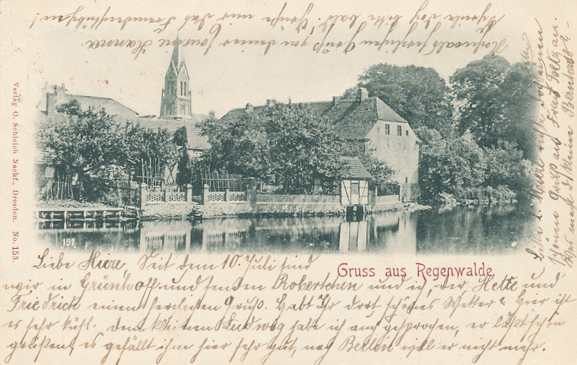 Deutsches Reich, Pommern Ansichtskarte 1902 Regenwalde gelaufen | MA-Shops