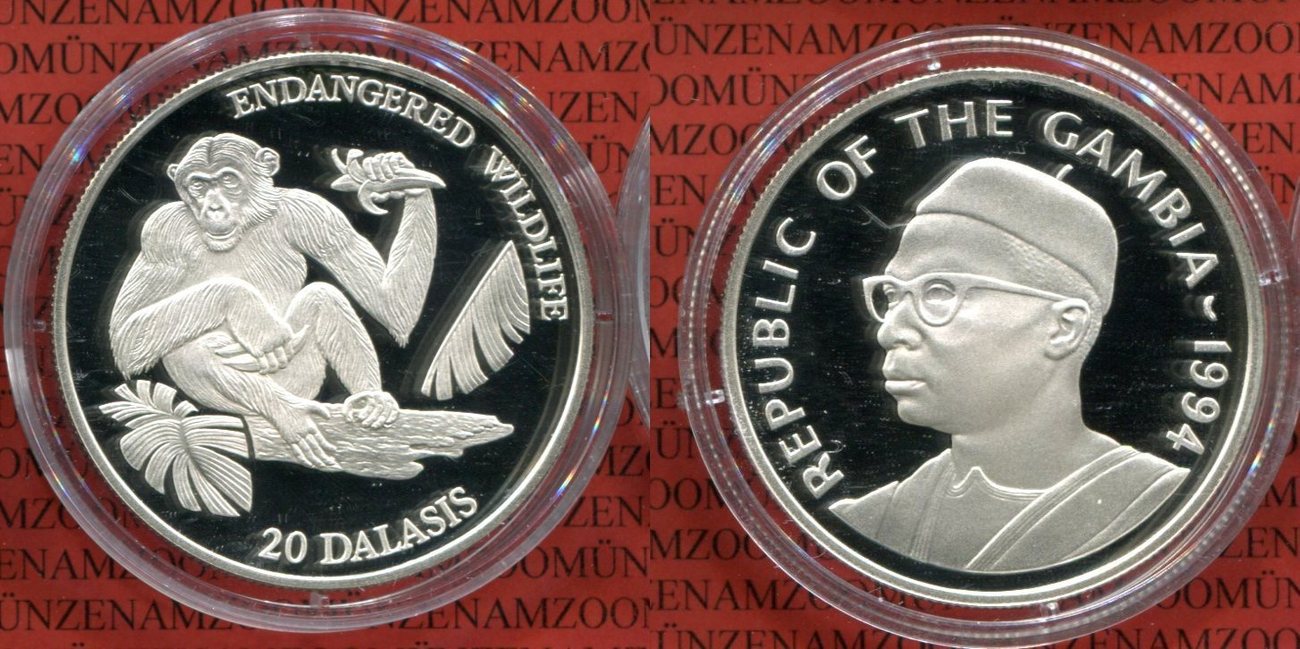 Gambia 20 Dalasis Silber 1994 Endangered Wildlife Schimpanse proof with ...