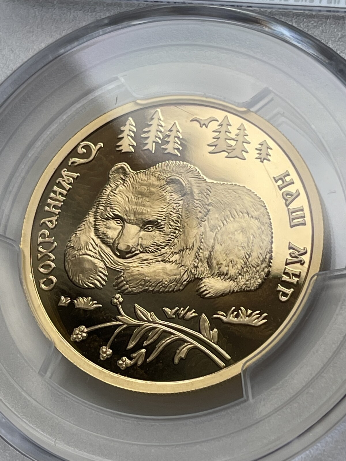 Russia 100 Roubles 1993 ММД 100 Ruble Gold Coin 1993 Brown Bear Proof ...