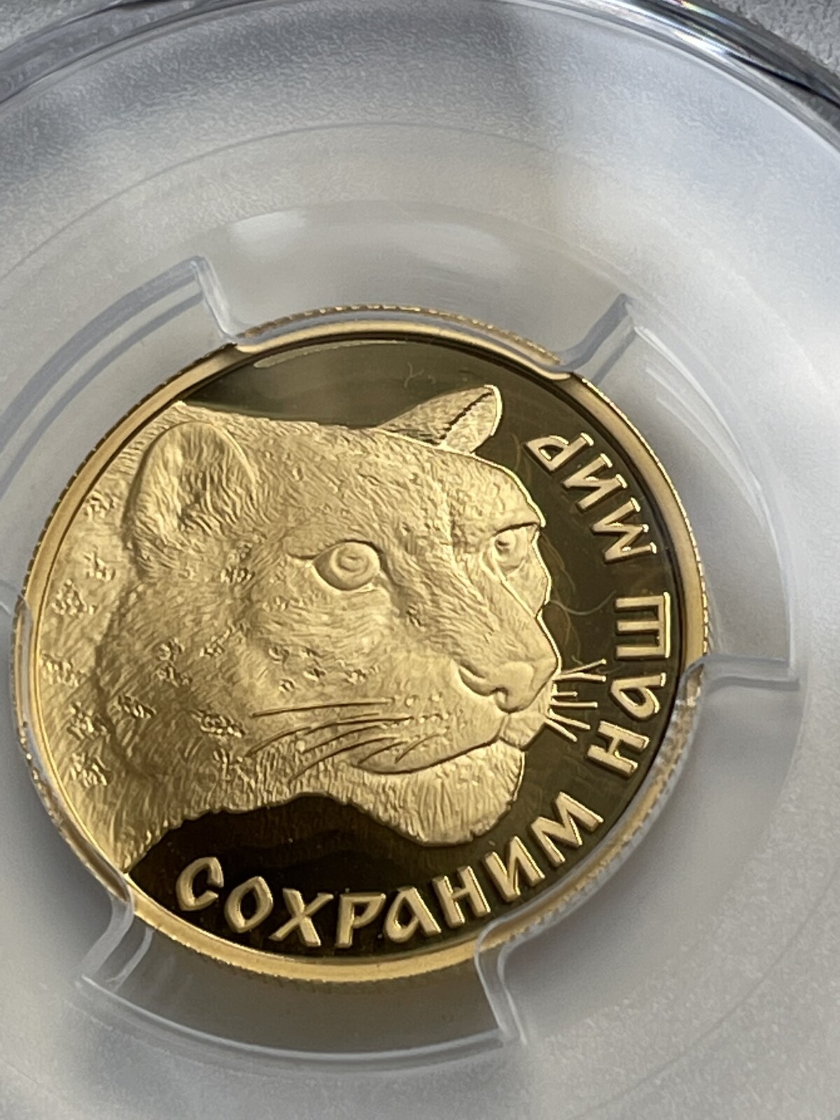 Russia 50 Roubles 50 ruble gold coin 2000 snow leopard proof PCGS ...