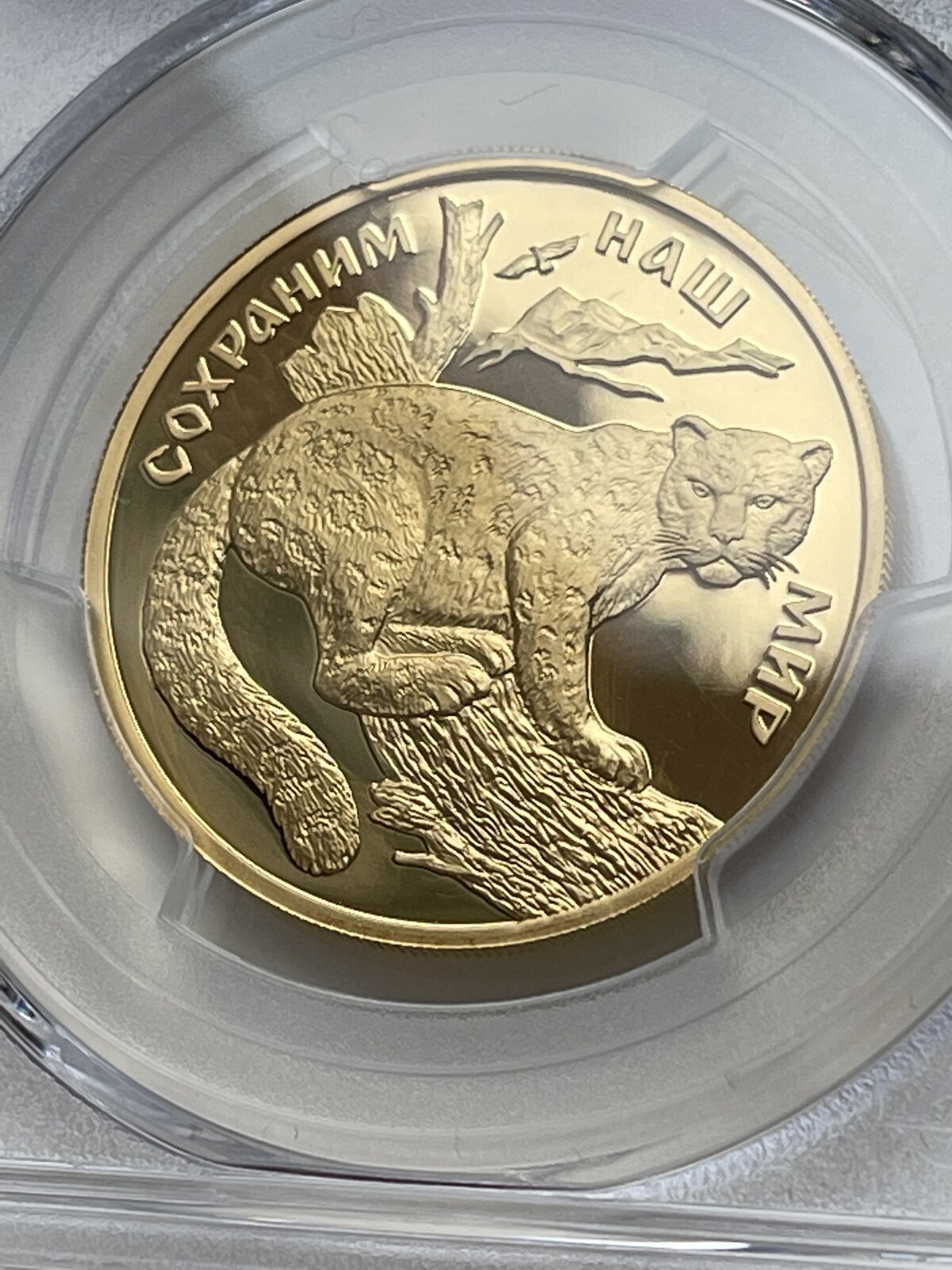 Russia 100 Roubles 2000 СПМД 100 Ruble Gold Coin 2000 Snow Leopard ...